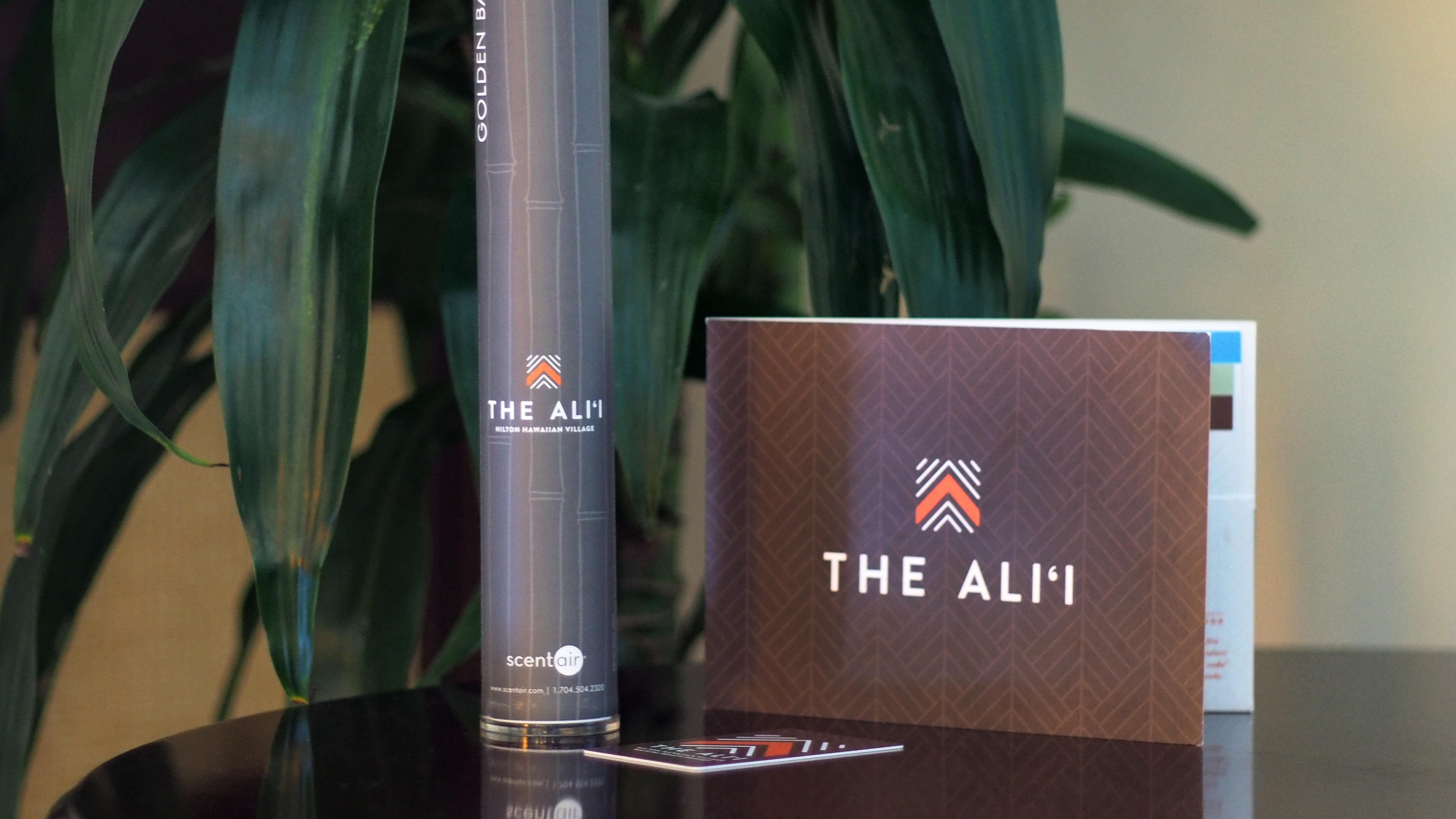 MVNP | Hilton Hotels Worldwide: Rebranding Case Study - The Alii