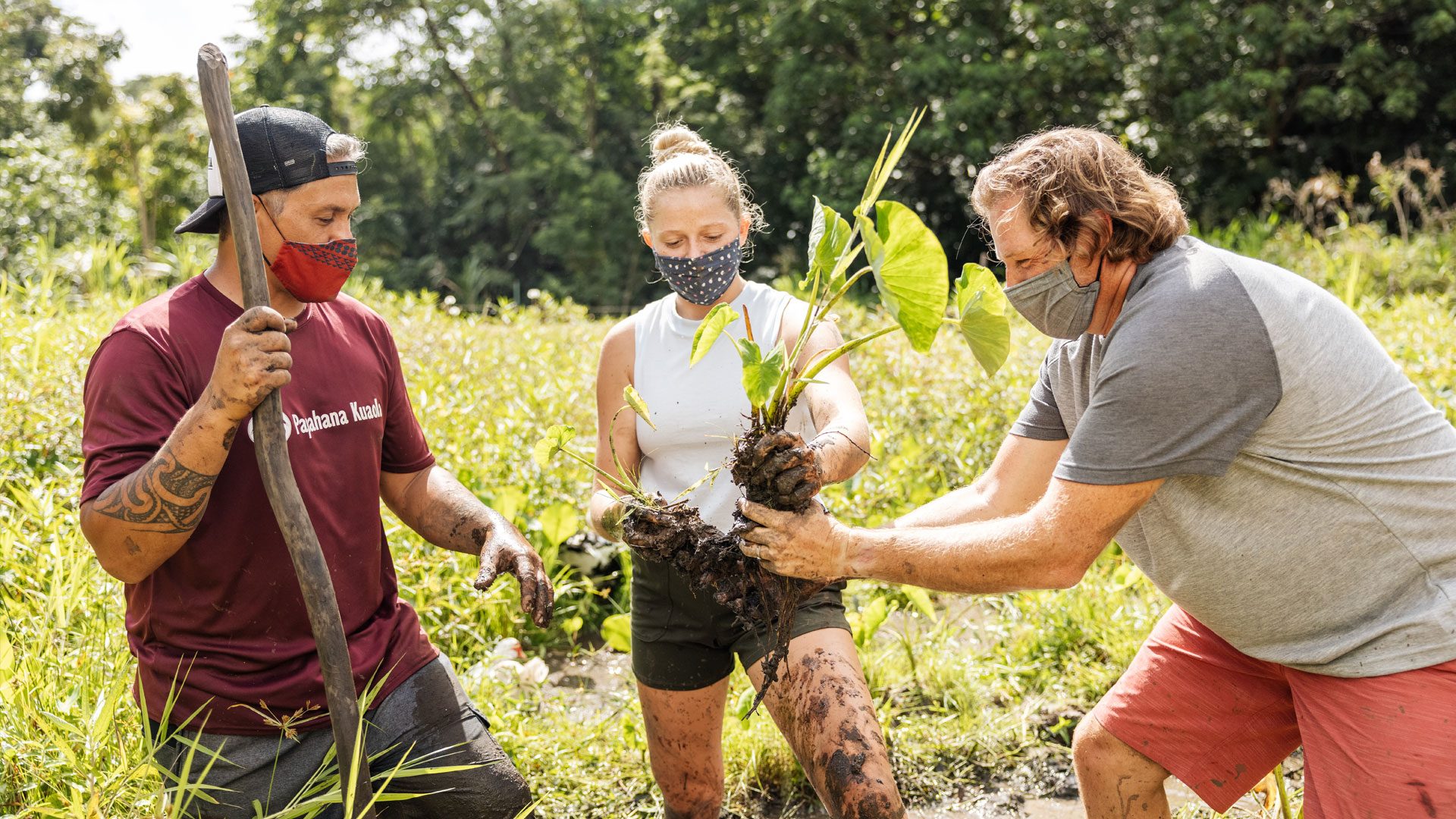 MALAMA HAWAII CAMPAIGN Case Study - MVNP